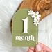 Daisy Acrylic Milestone Set, Monthly Milestone Set, Acrylic Milestone ...