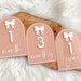 Bow Acrylic Milestone Set, Monthly Milestone Set, Acrylic Milestone ...