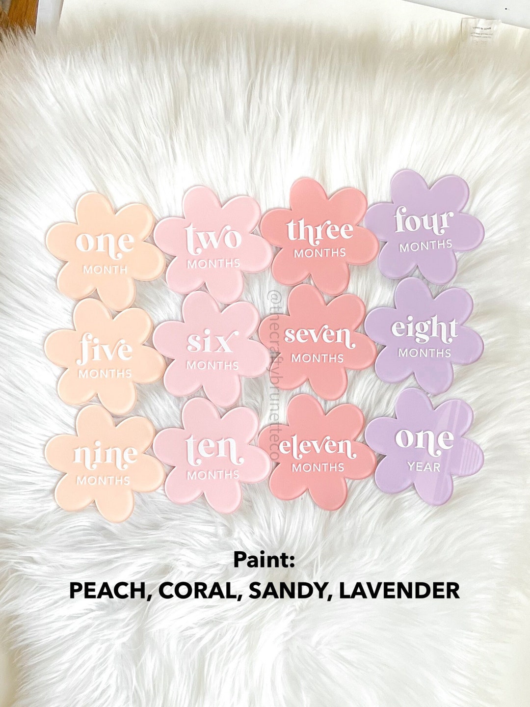 Daisy Acrylic Milestone Set, Monthly Milestone Set, Acrylic Milestone ...