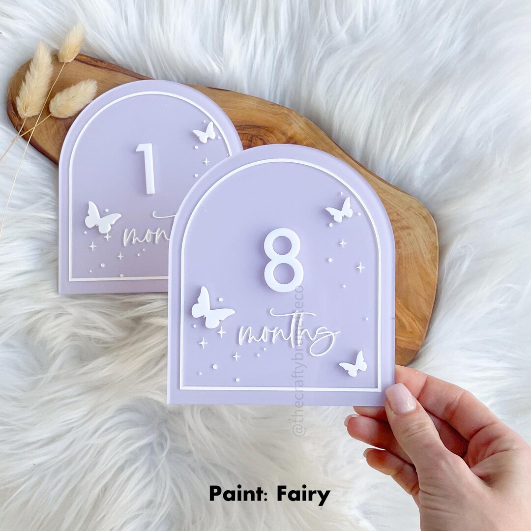 Butterfly Acrylic Milestone Set, Monthly Milestone Set, Acrylic ...