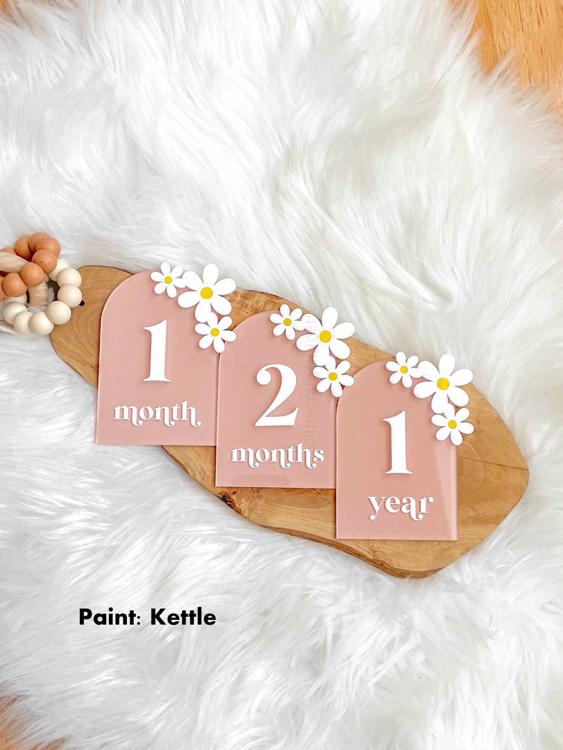 Daisy Acrylic Milestone Set, Monthly Milestone Set, Acrylic Milestone ...
