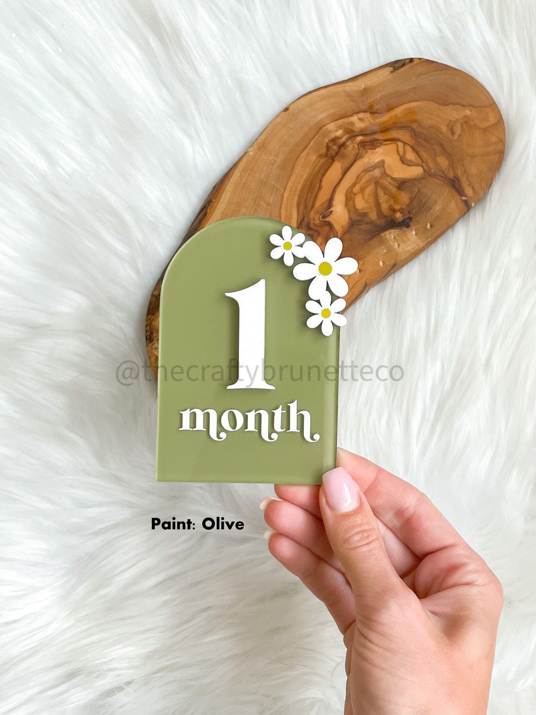 Daisy Acrylic Milestone Set Monthly Milestone Set Acrylic - Etsy
