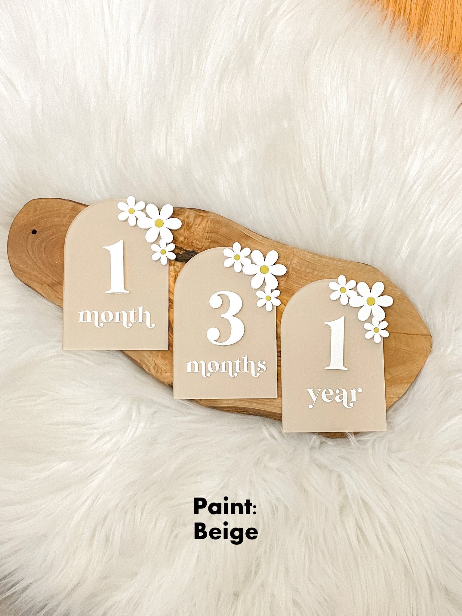 Daisy Acrylic Milestone Set, Monthly Milestone Set, Acrylic Milestone ...