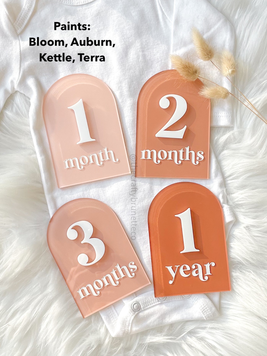 Retro Monthly Acrylic Milestones, Monthly Milestone Discs, Arch Acrylic ...