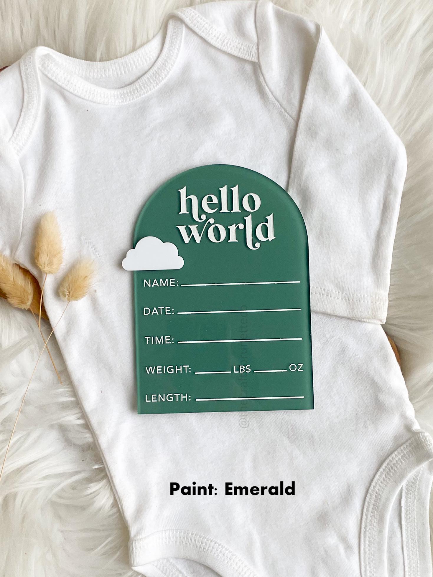 Birth Stat Sign for Baby, Baby Birth Announcement, Acrylic Birth Stat ...