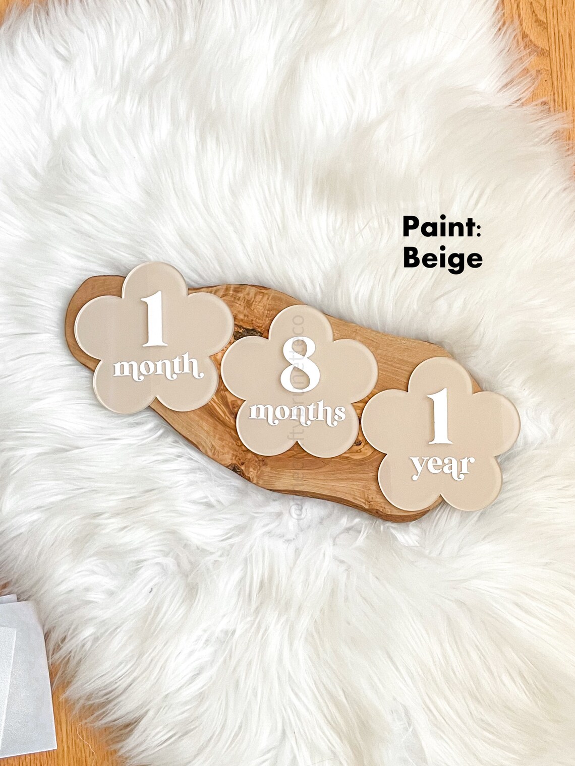Daisy Acrylic Milestone Set, Monthly Milestone Set, Acrylic Milestone ...
