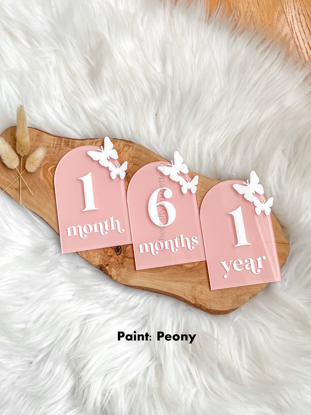 Butterfly Acrylic Milestone Set, Monthly Milestone Set, Acrylic ...