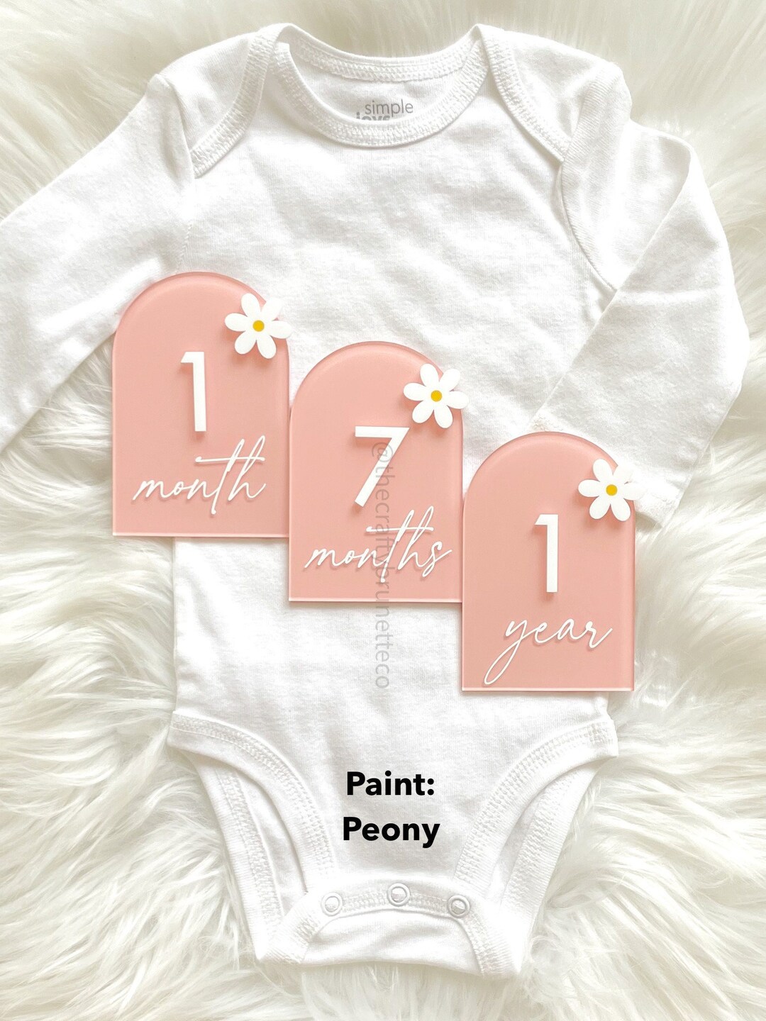 Daisy Acrylic Milestone Set, Monthly Milestone Set, Acrylic Milestone ...