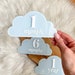Cloud Acrylic Milestone Set, Monthly Milestone Set, Acrylic Milestone ...
