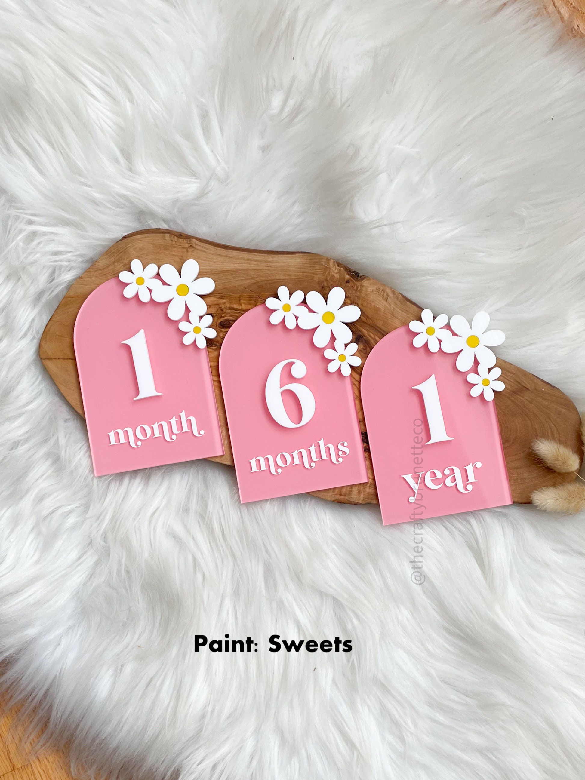 Daisy Acrylic Milestone Set, Monthly Milestone Set, Acrylic Milestone ...