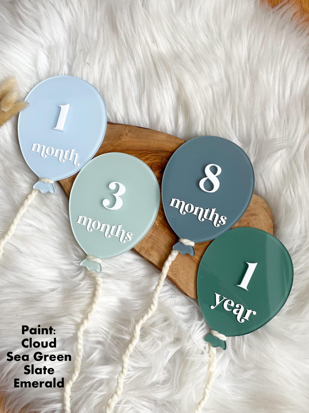 Balloon Acrylic Milestone Set, Monthly Milestone Set, Acrylic Milestone ...