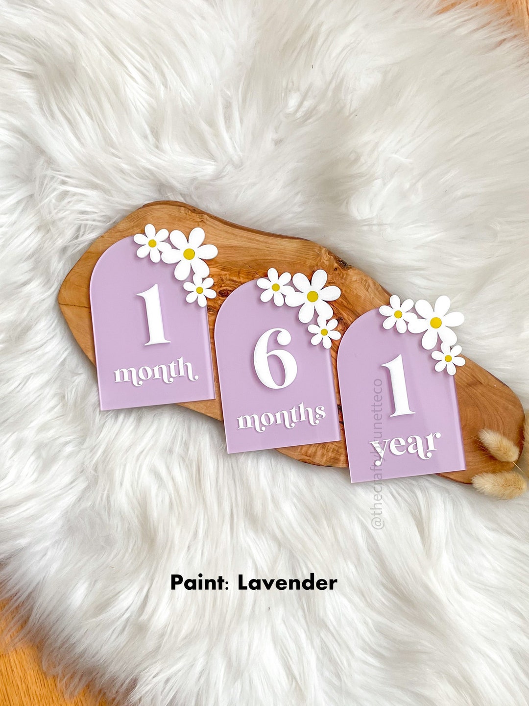 Daisy Acrylic Milestone Set, Monthly Milestone Set, Acrylic Milestone ...