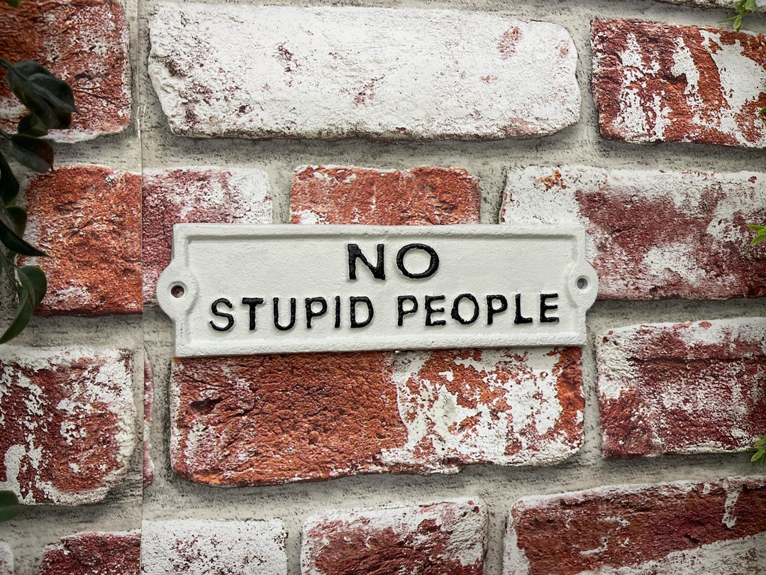 Cast Iron "no Stupid People" Sign - Novelty Plaque - Etsy