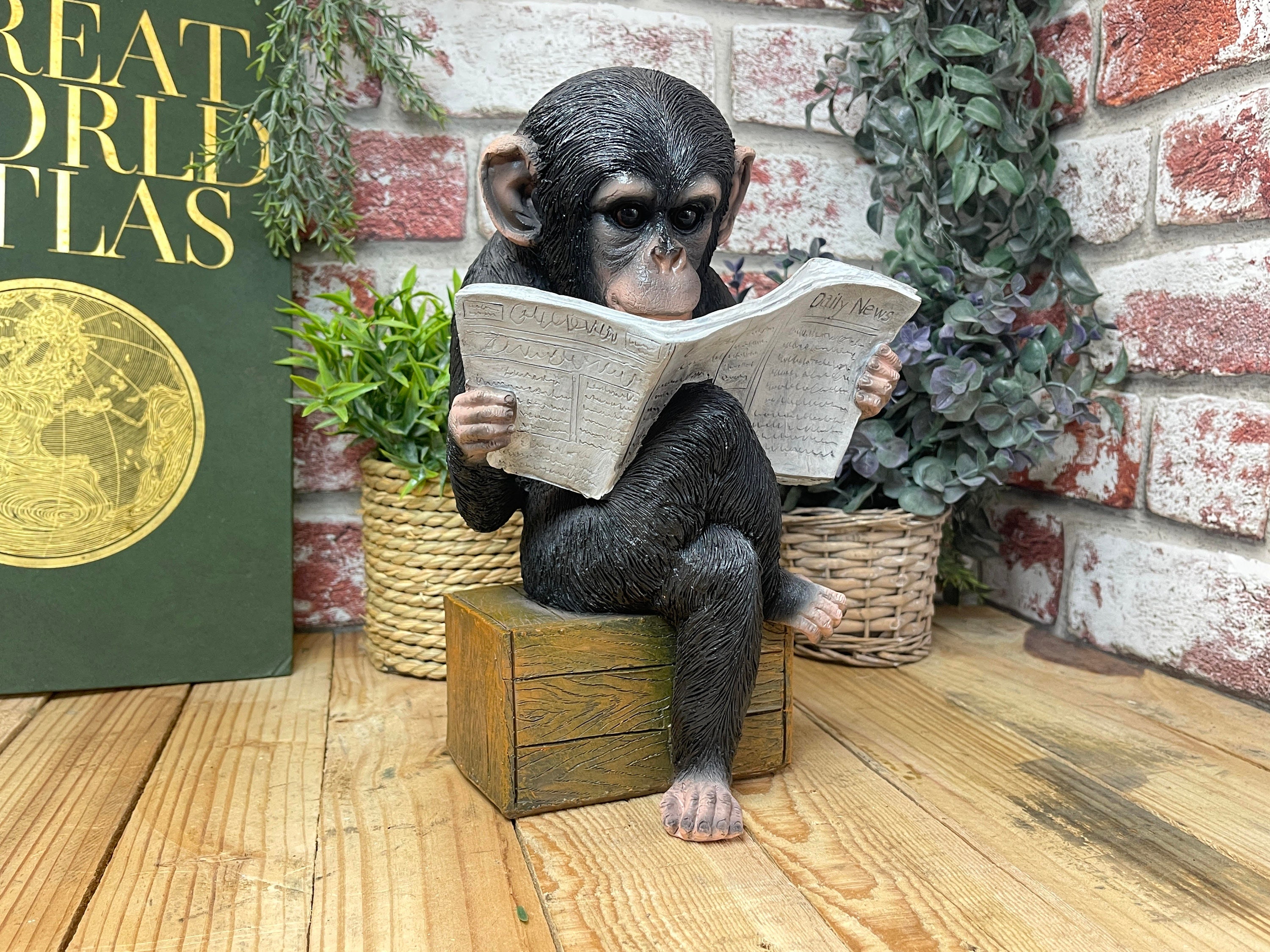 Monkey Reading Book