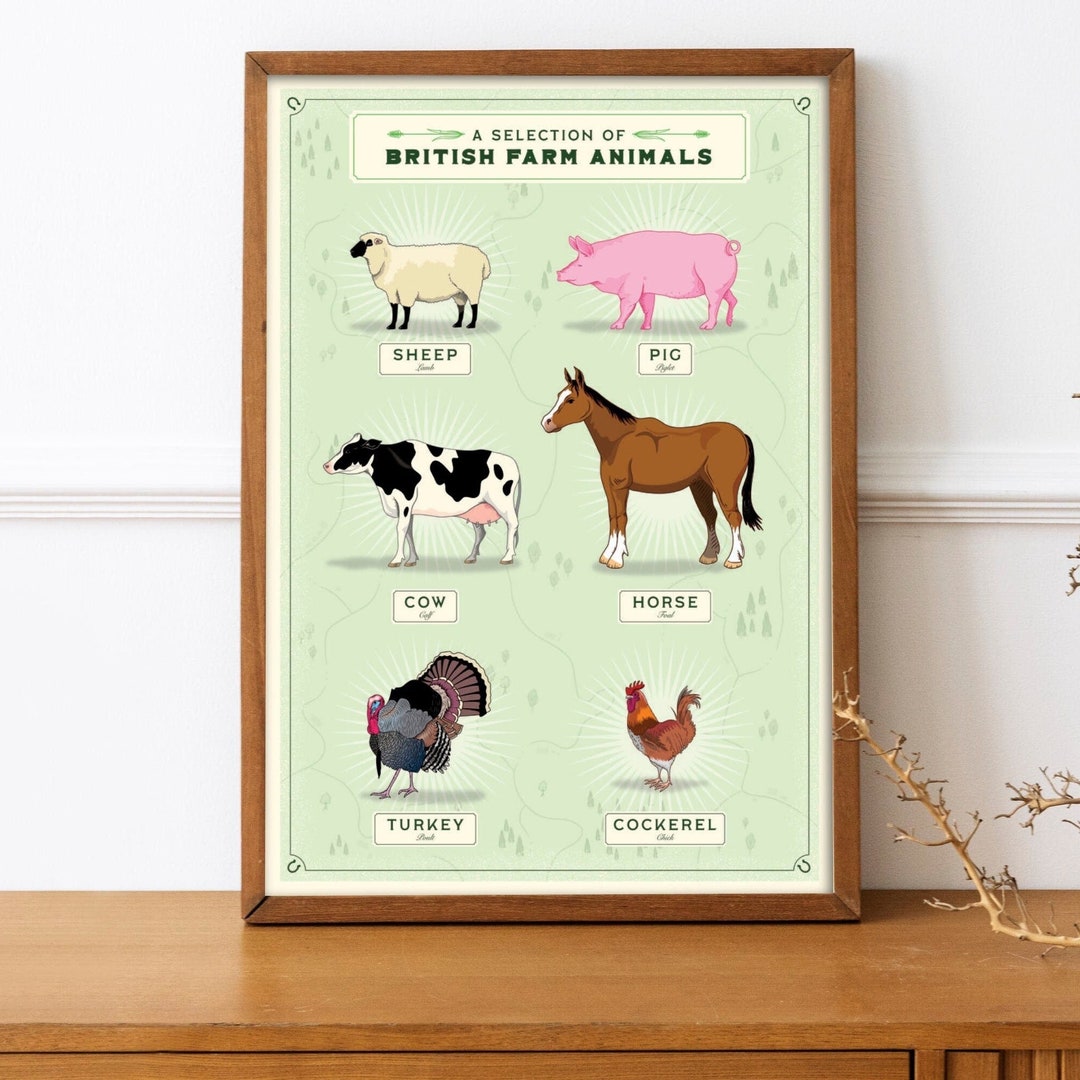 British Farm Animals Poster - Etsy