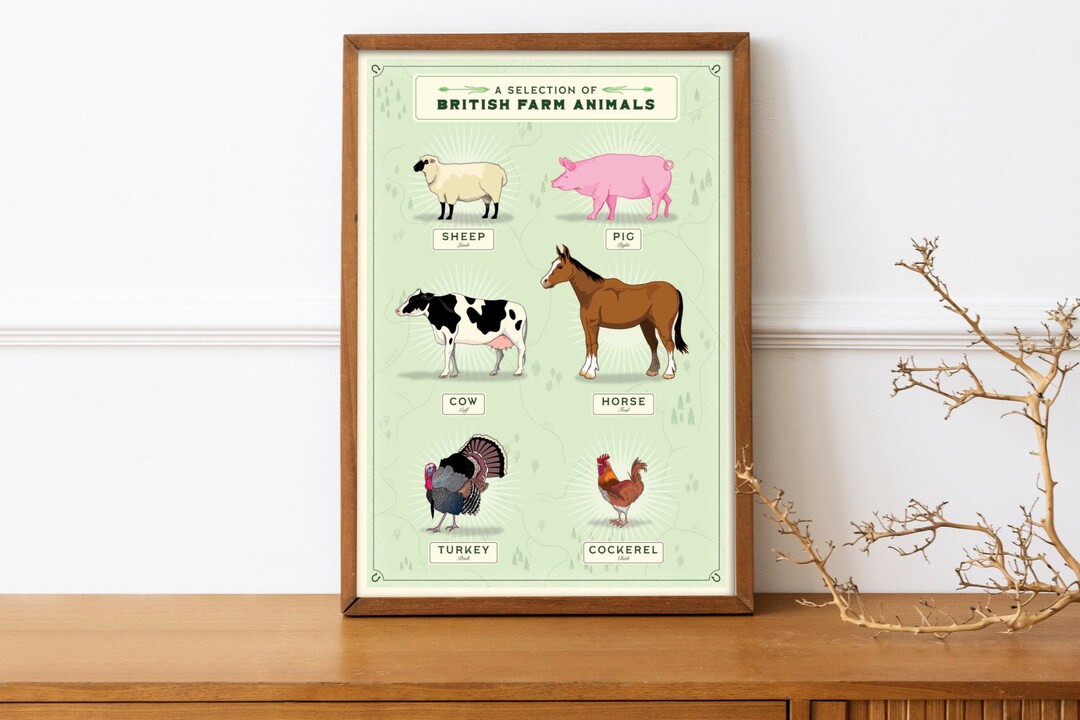 British Farm Animals Poster - Etsy