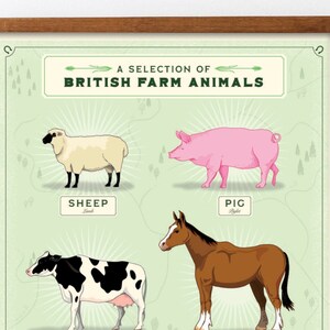 British Farm Animals Poster - Etsy