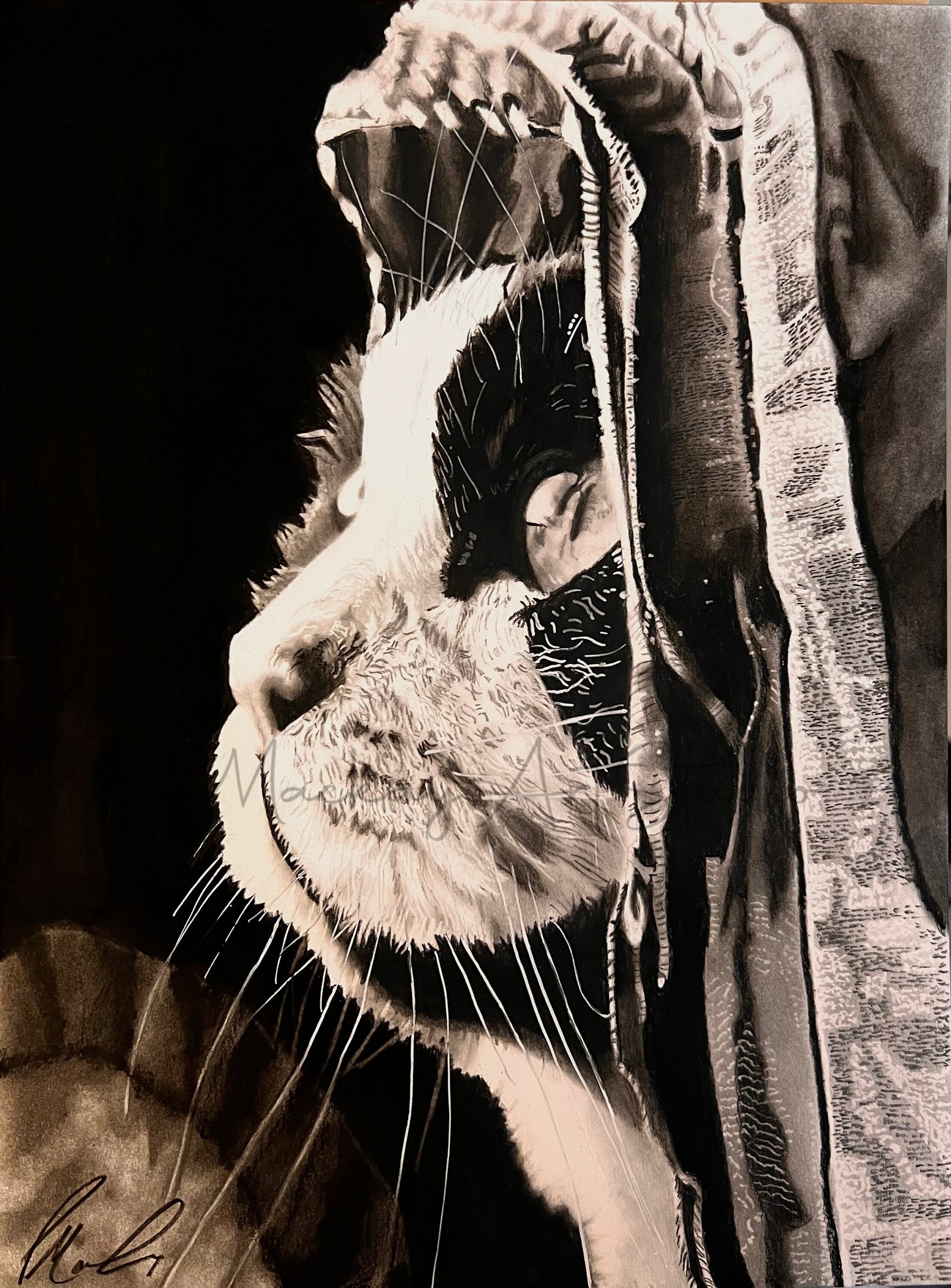 Cat Drawing | Cat Artwork | Graphite Cat Drawing | Charcoal Cat Drawing ...