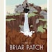 The Briar Patch Disney Splash Mountain Inspired Print Poster - Etsy