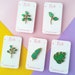 Plant Hard Enamel Pin - Etsy