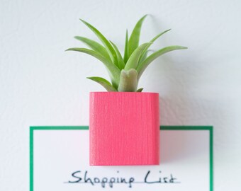 Cute fridge magnets | Etsy