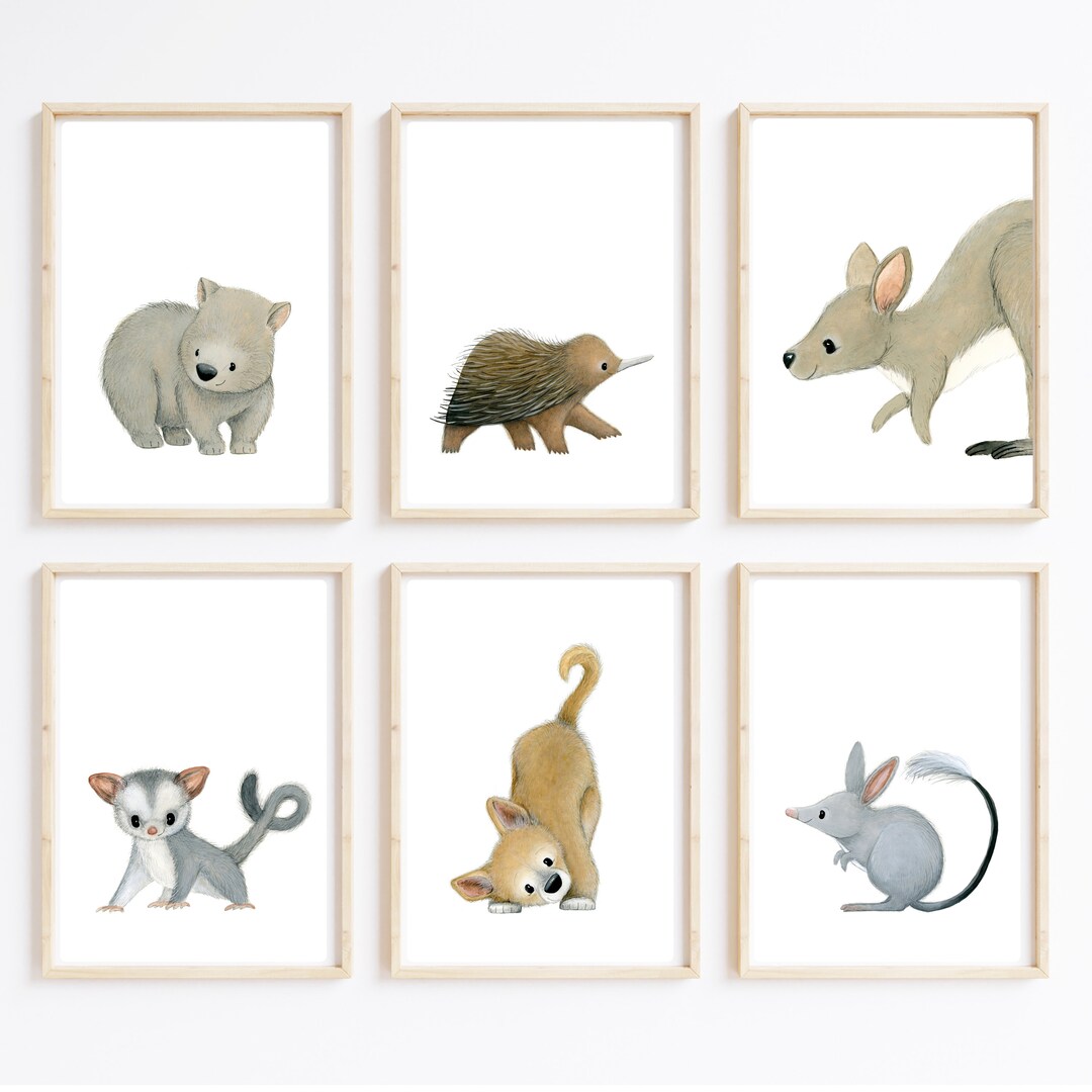 Australian Animal Print Set / Kangaroo Joey, Echidna Puggle, Wombat ...