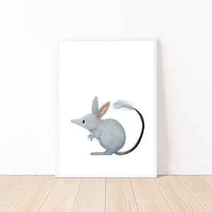 Australian Animal Print Set / Kangaroo Joey, Echidna Puggle, Wombat ...