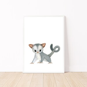 Australian Animal Print Set / Kangaroo Joey, Echidna Puggle, Wombat ...