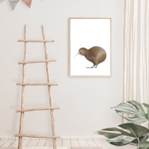 Kiwi Bird Printable Wall Art / New Zealand Animal Print - Etsy