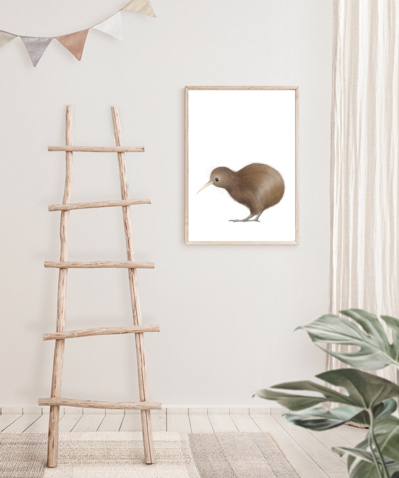 Kiwi Bird Printable Wall Art / New Zealand Animal Print - Etsy