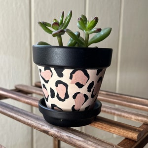 Hand Painted Small Indoor Planter - Flower or Succulent Pot With ...
