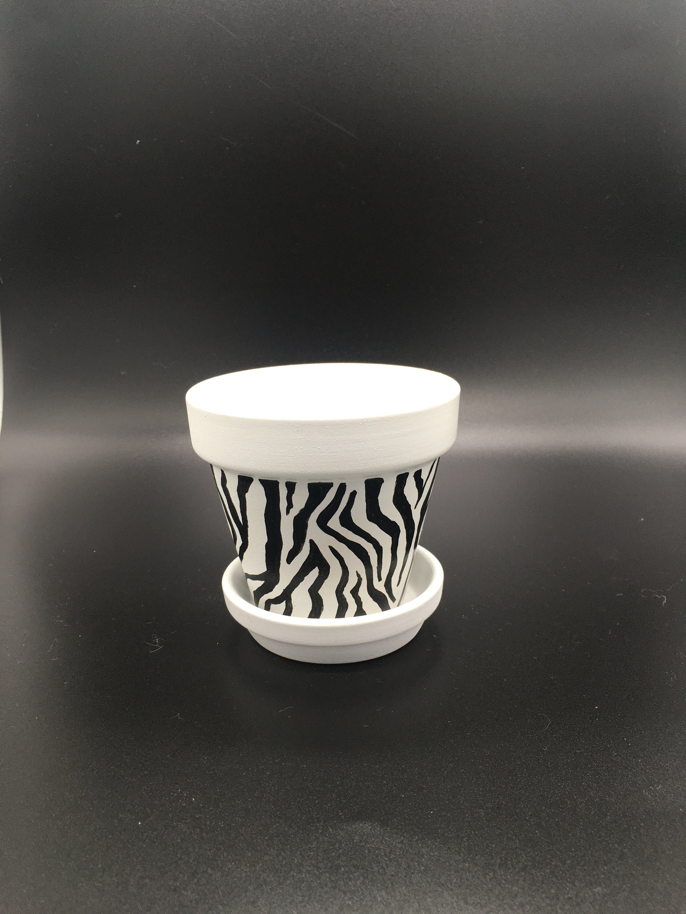 Hand Painted Small Indoor Planter Zebra Print Flower or Succulent Pot ...