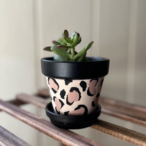 Hand Painted Small Indoor Planter - Flower or Succulent Pot With ...