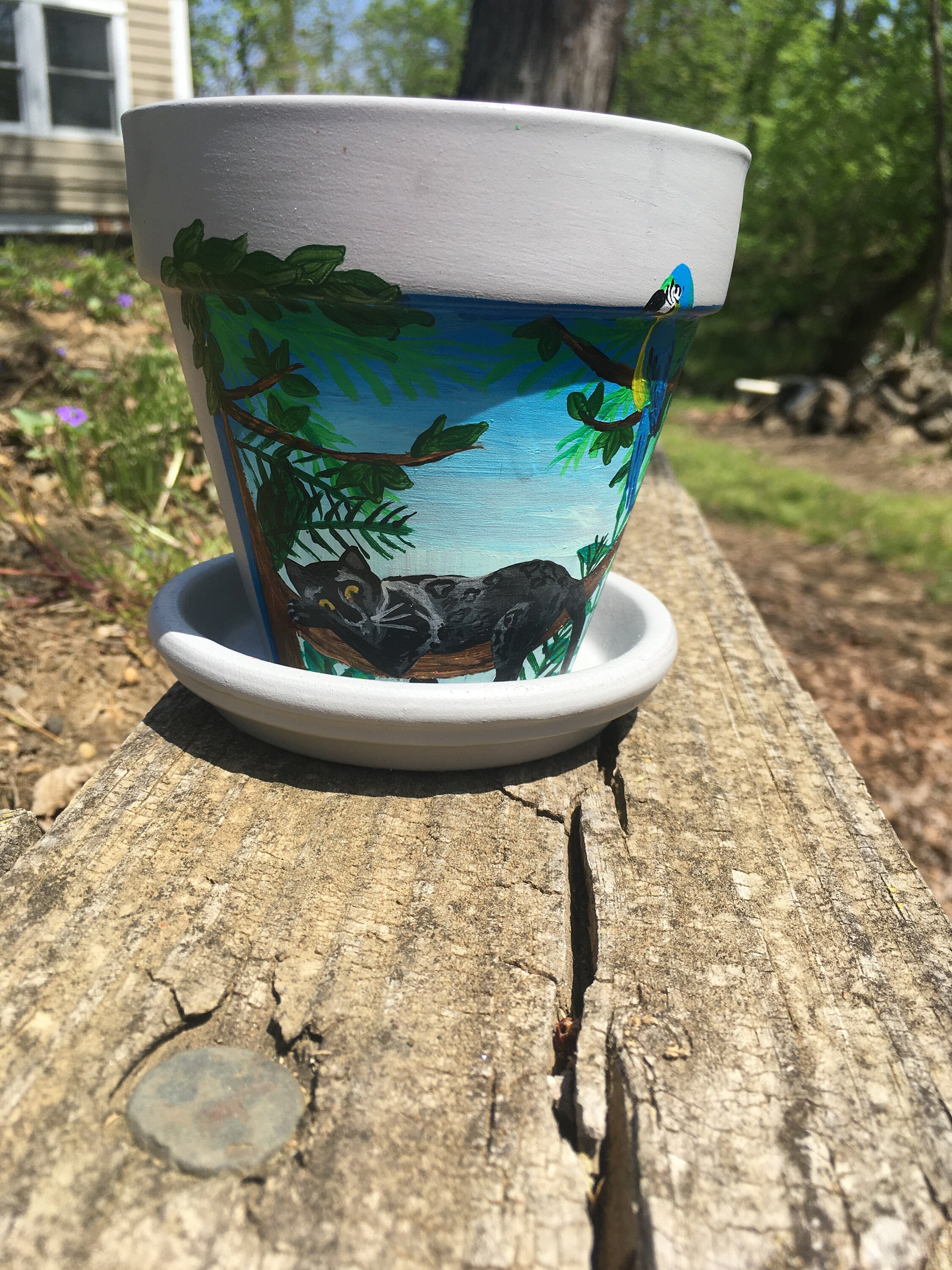 Hand Painted Flower or Succulent Pots With Drainage Home Décor Kids ...