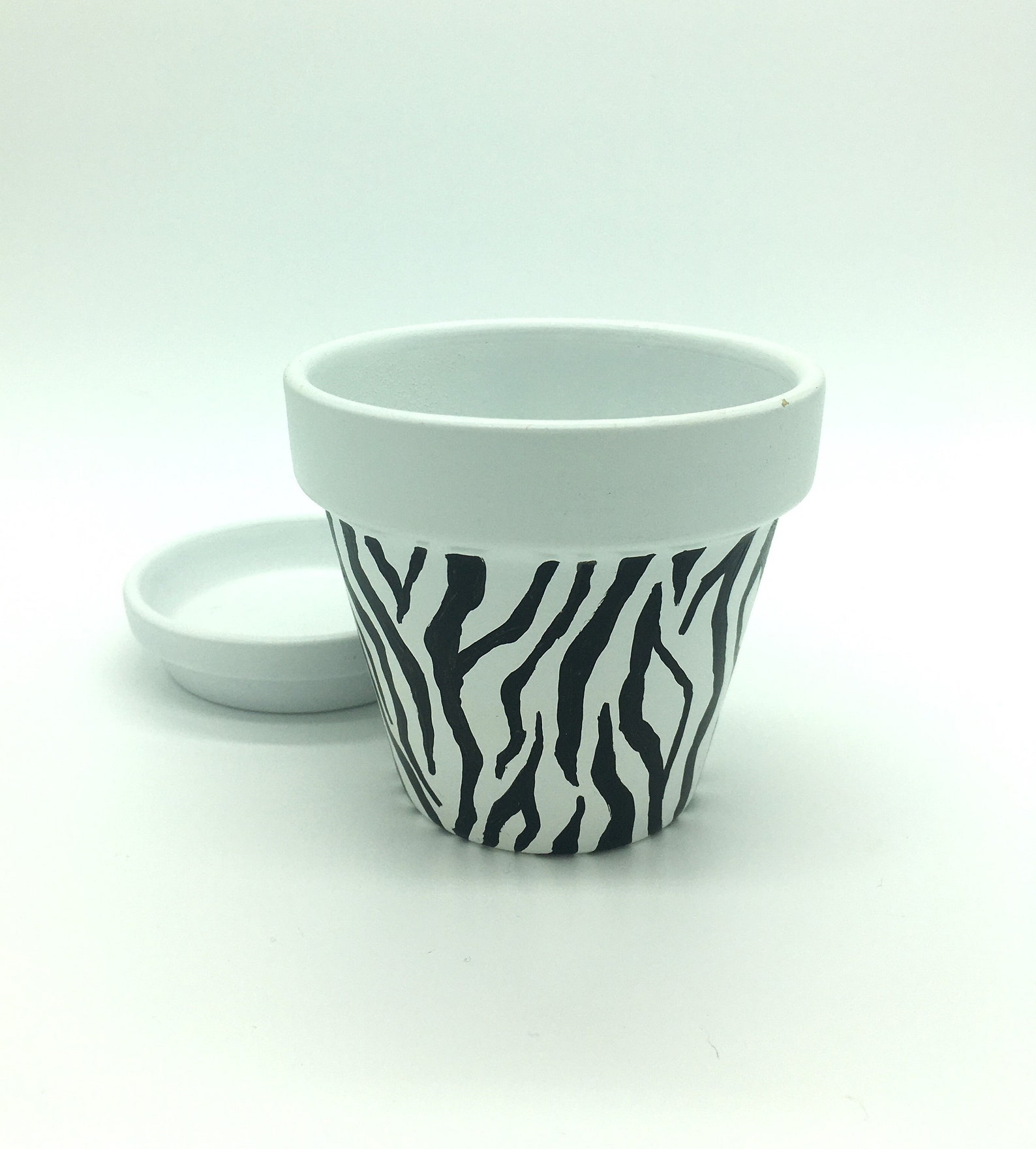 Hand Painted Small Indoor Planter - Zebra Print - Flower or Succulent ...