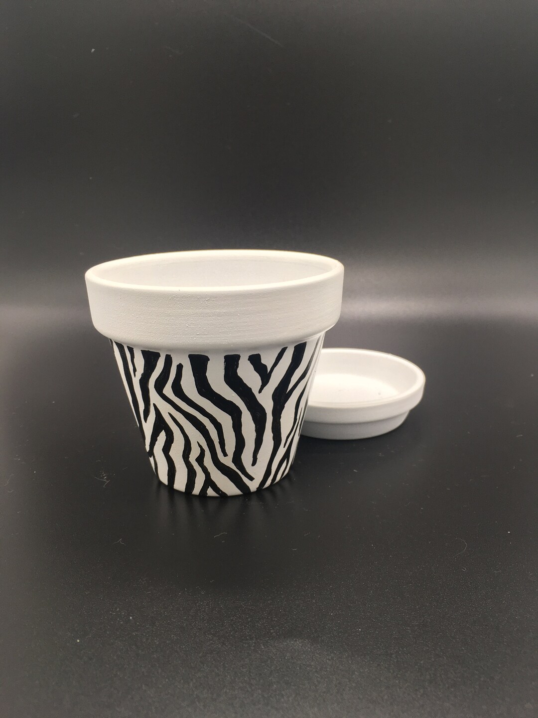 Hand Painted Small Indoor Planter - Zebra Print - Flower or Succulent ...