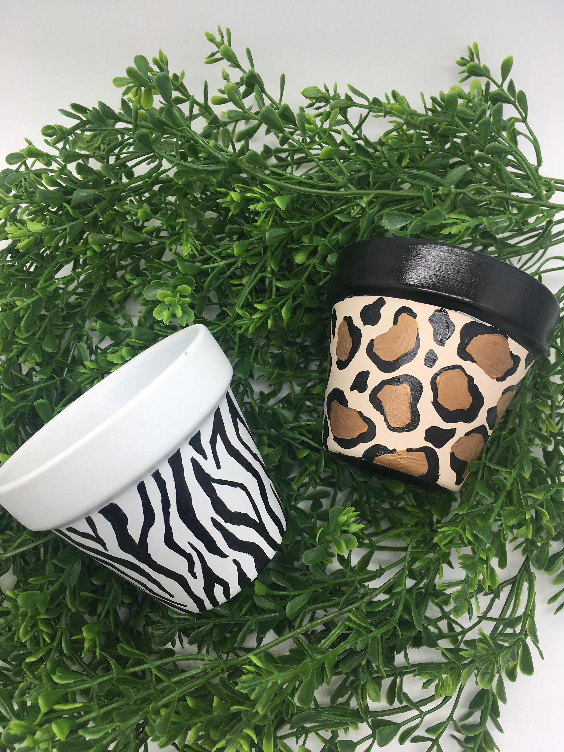 Hand Painted Small Indoor Planter - Zebra Print - Flower or Succulent ...