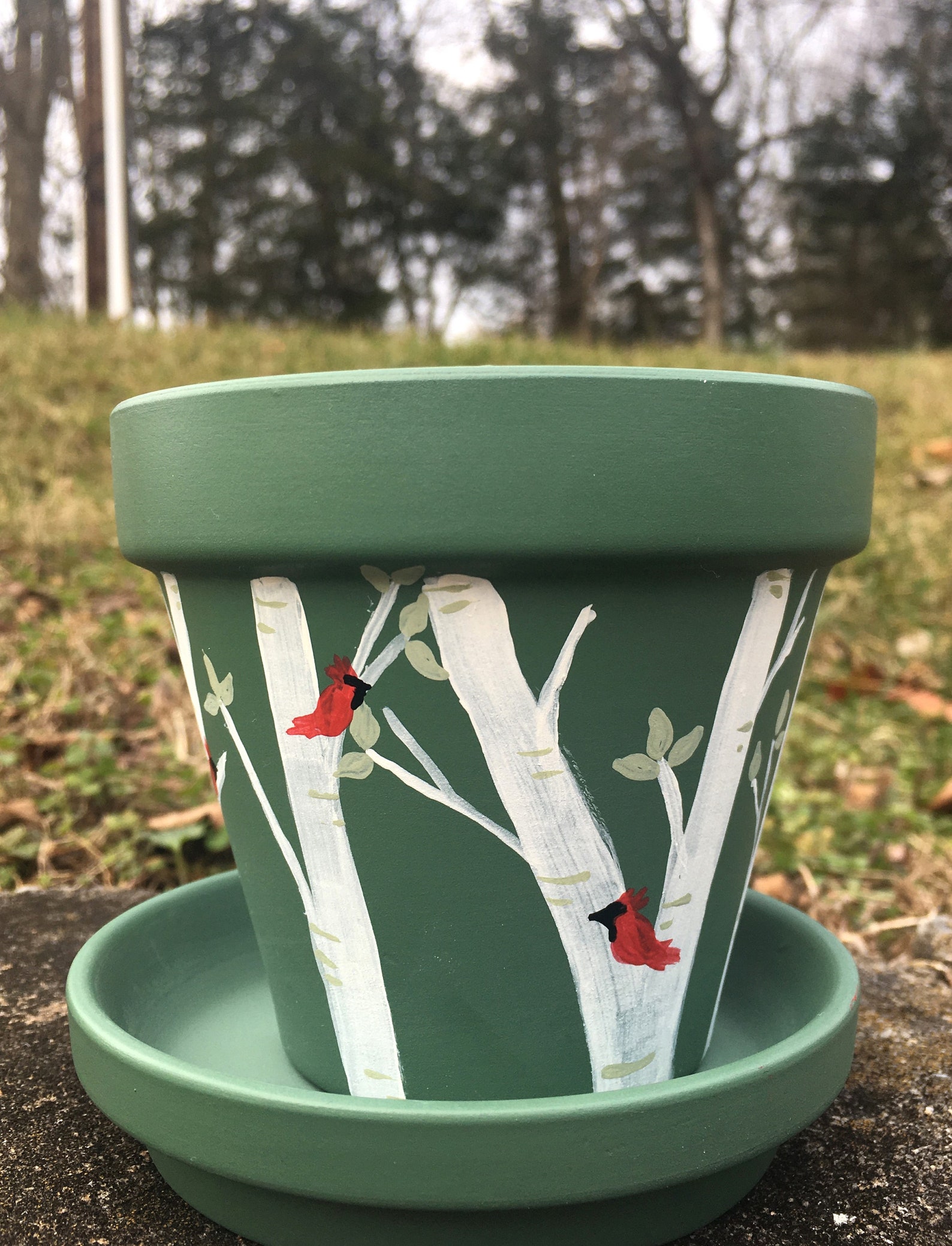 Hand Painted Green Planter - White Birch Trees - Red Birds ...
