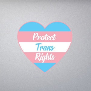Protect Trans Rights Transgender Rights Trans Ally Indoor - Etsy