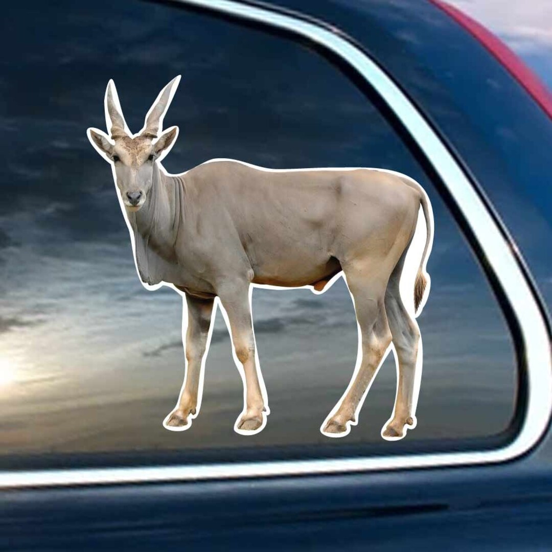 Eland Antelope - Indoor/outdoor Vinyl Decal OR Window Cling, Multiple ...