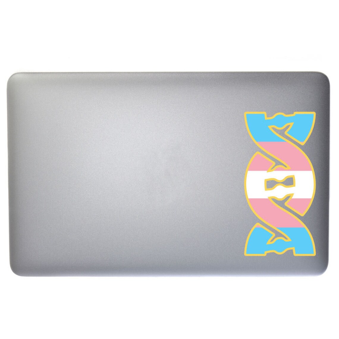 Transgender Pride DNA Helix - LGBT Pride, Born This Way - Indoor ...