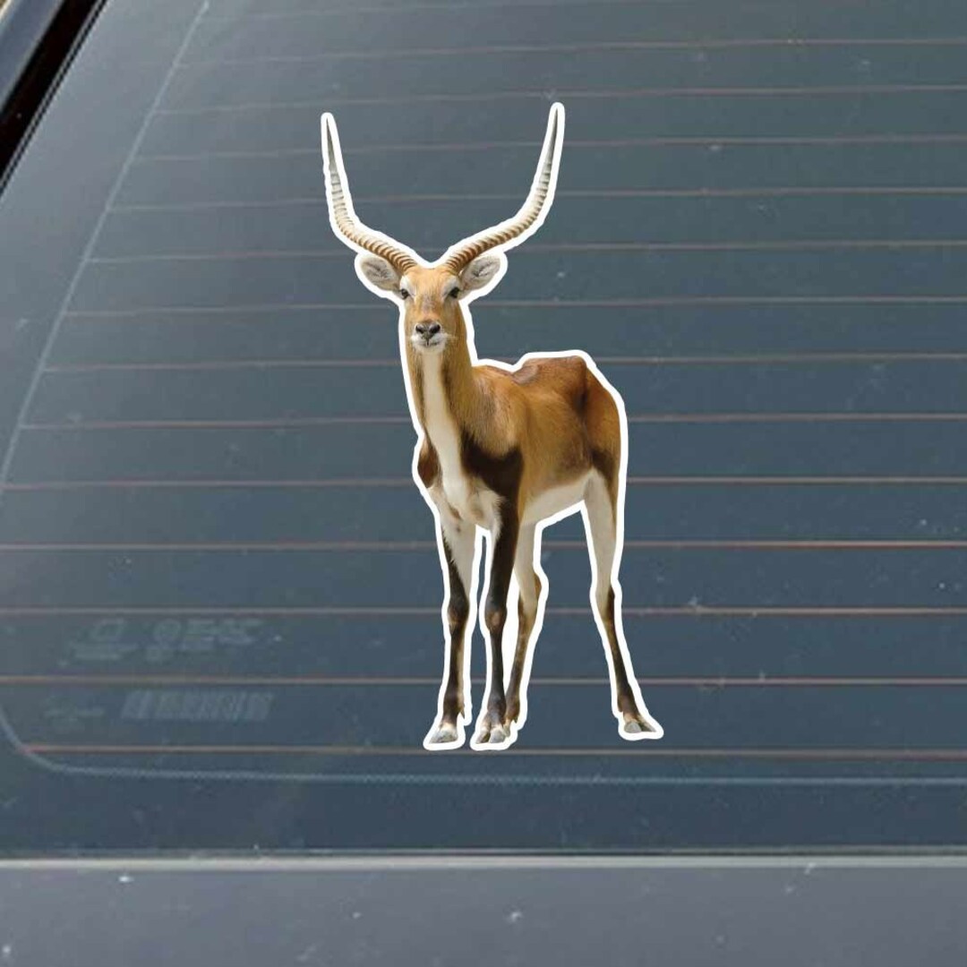 African Impala - Indoor/outdoor Vinyl Decal OR Window Cling, Multiple ...