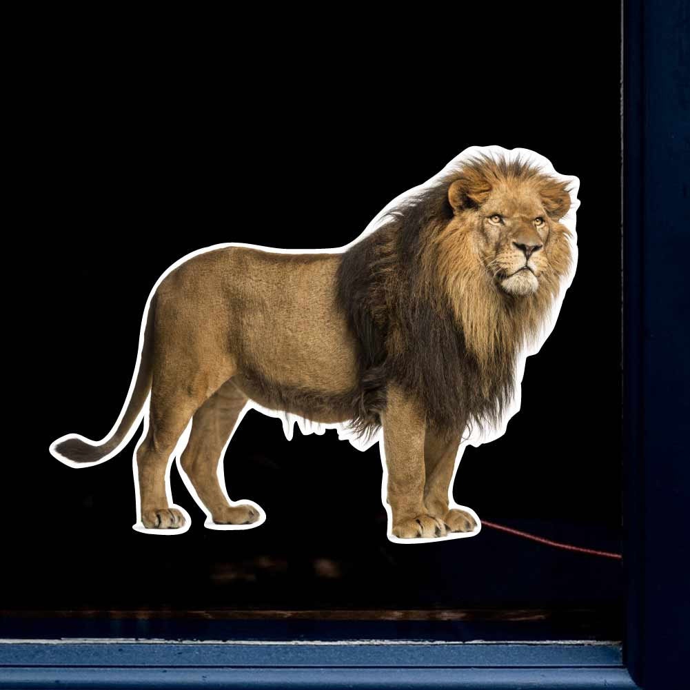Male African Lion Full Color Static Window Cling - Etsy