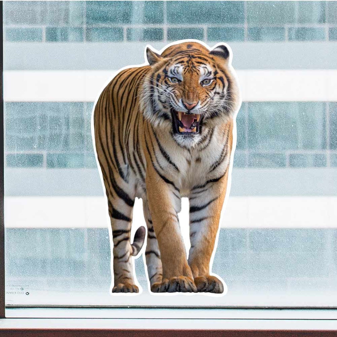 Snarling Tiger - Full Color Static Window Cling - Etsy