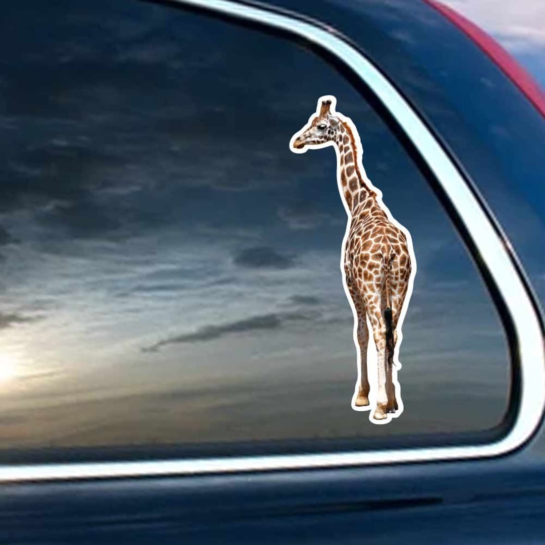 Giraffe Butt - Indoor/outdoor Vinyl Decal OR Window Cling, Multiple ...