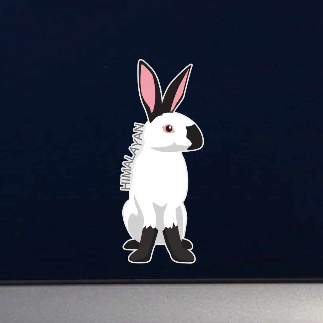 Himalayan Rabbit - Indoor Outdoor Vinyl Decal - Etsy