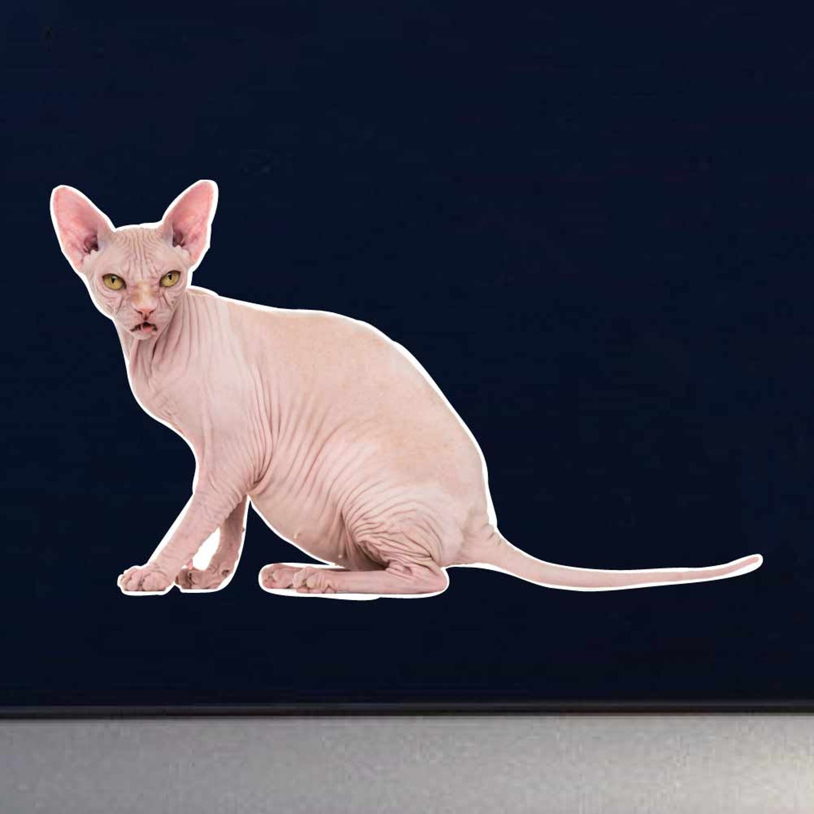 Angry Wrinkle Cat Sphynx Indoor Outdoor Vinyl Decal - Etsy