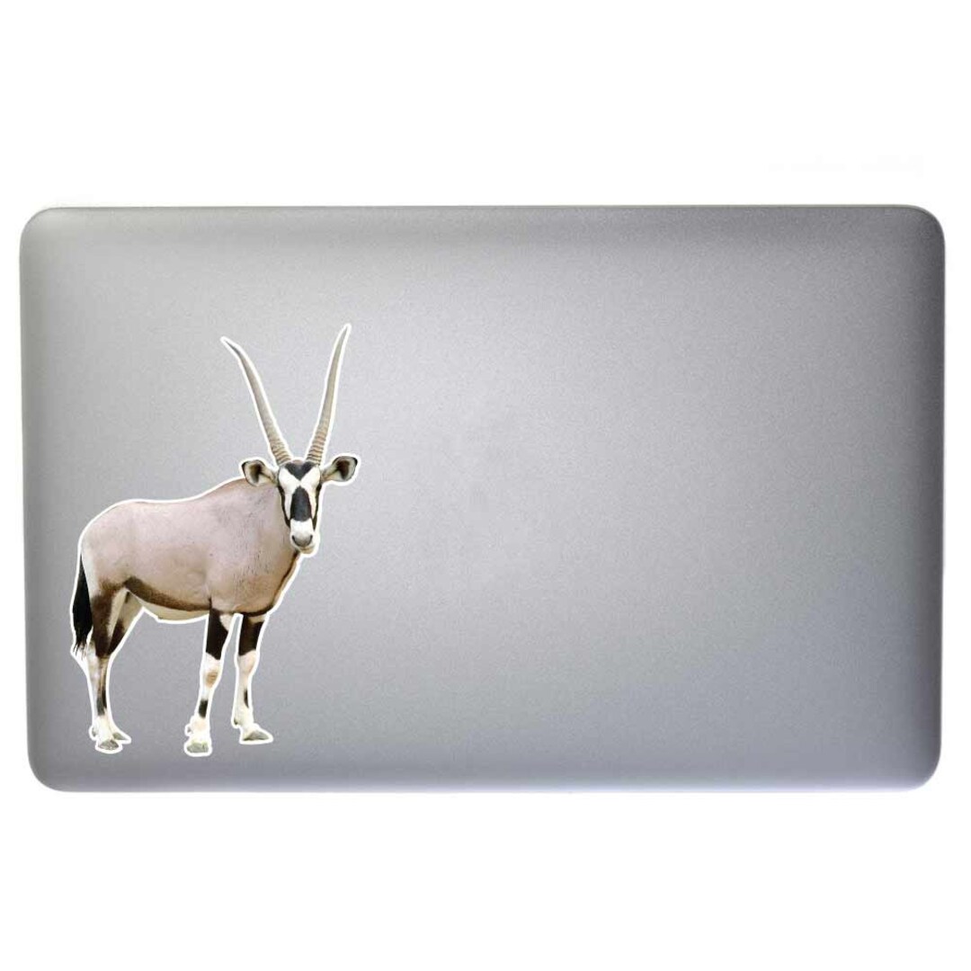 African Oryx - Indoor/outdoor Vinyl Decal OR Window Cling, Multiple ...