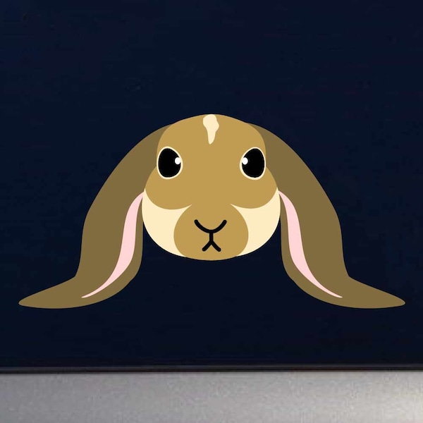 English Lop - Etsy