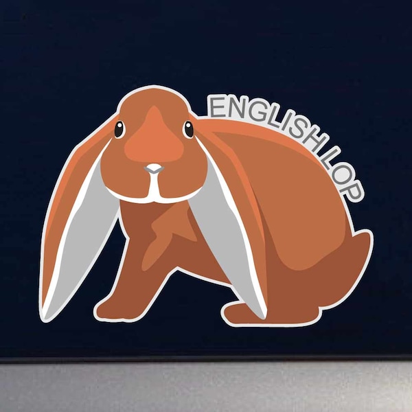 English Lop - Etsy